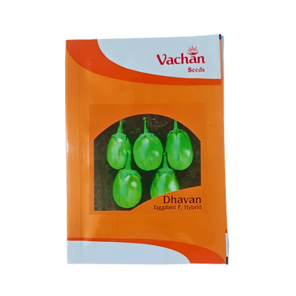 Buy Vachan Dhavan F1 Hybrid Brinjal Vegetable Seeds Online